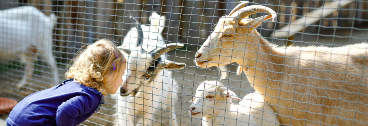 About Us - Wisconsin Deer Park